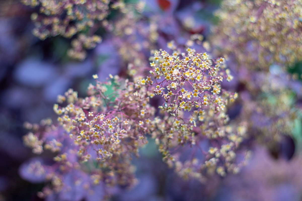 Michael (Mike) Cookson Photography - Colour . Texture