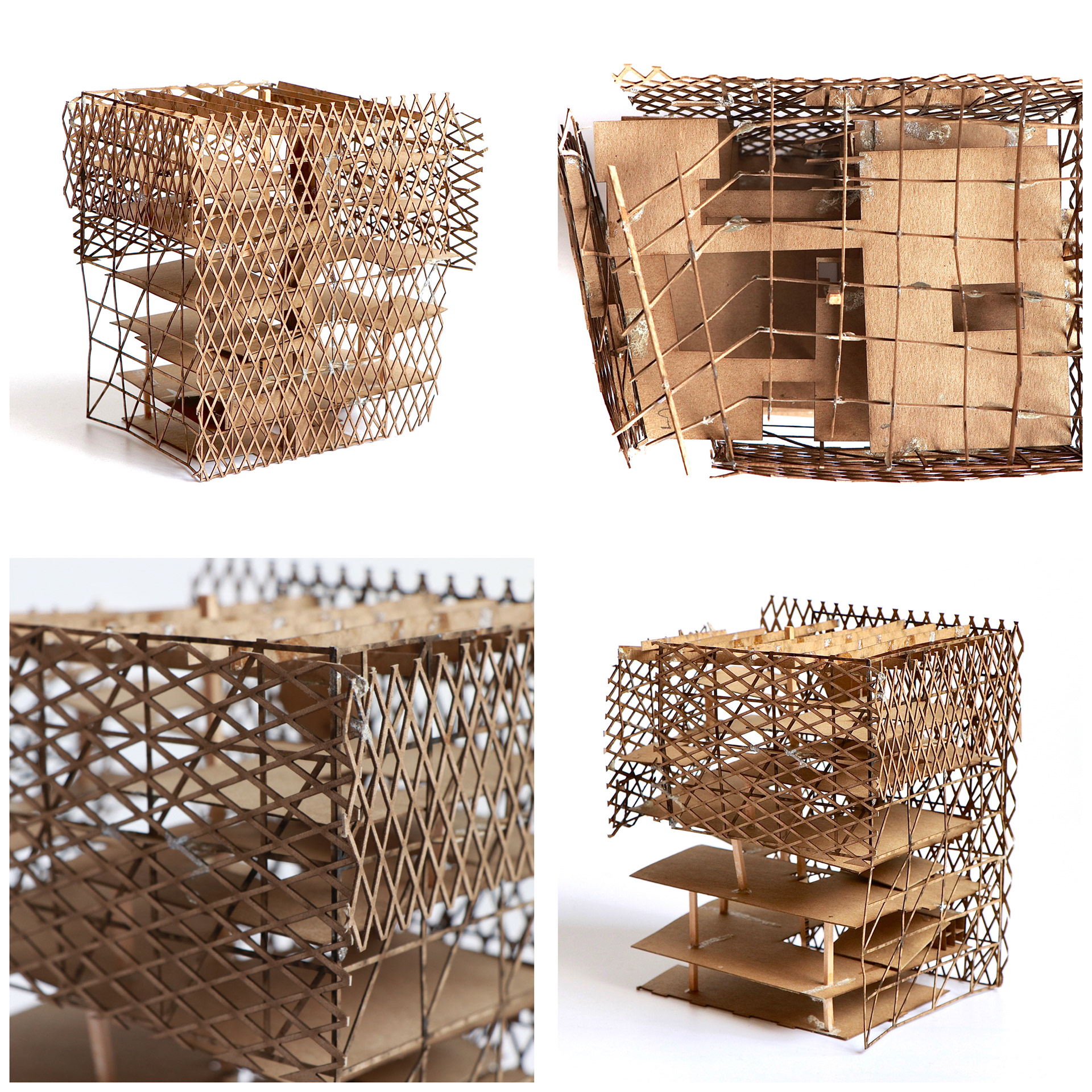 Martin Bradshaw - Study Models