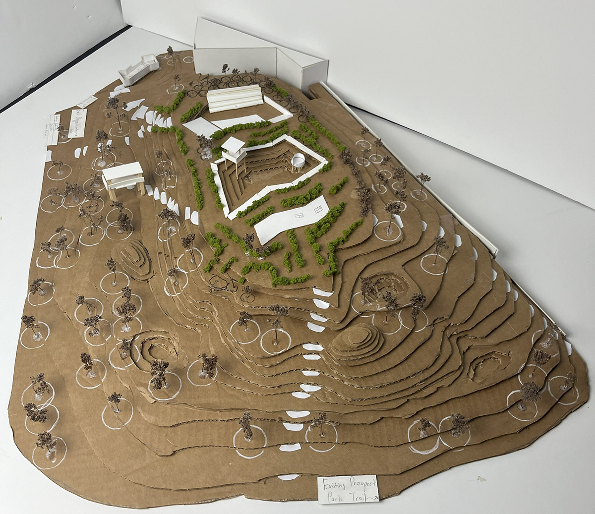 Martin Bradshaw - Study Models