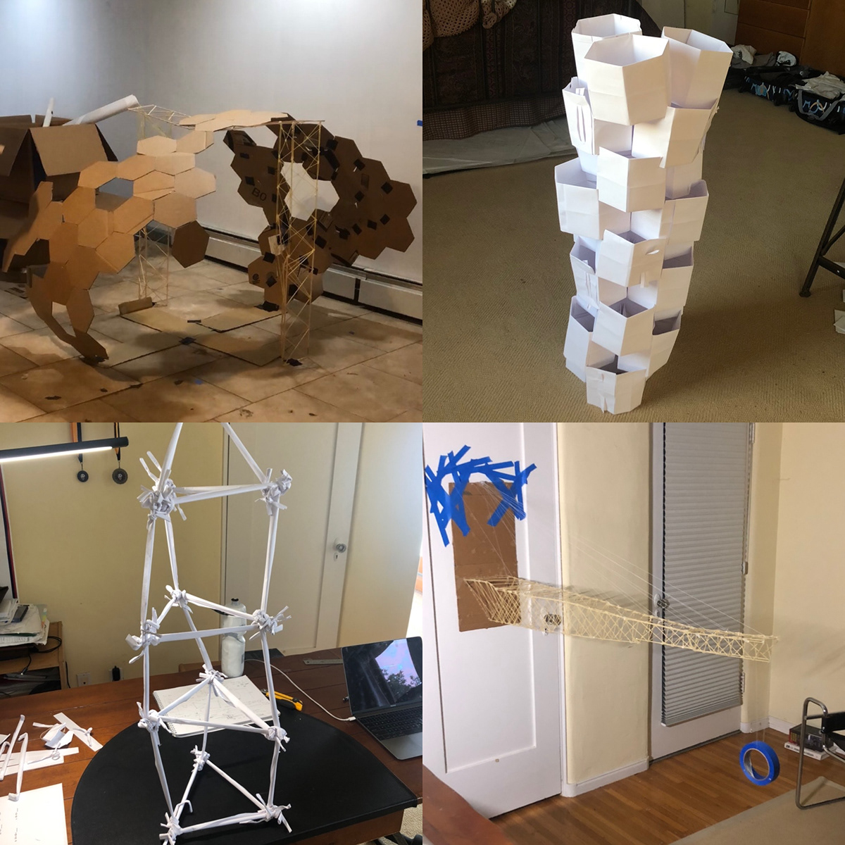 Martin Bradshaw - Study Models