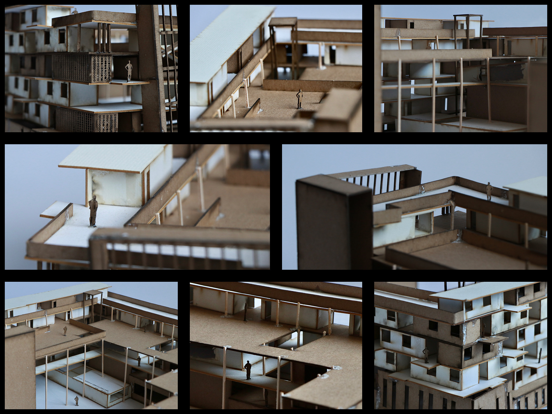 Martin Bradshaw - Study Models