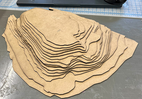 Martin Bradshaw - Study Models