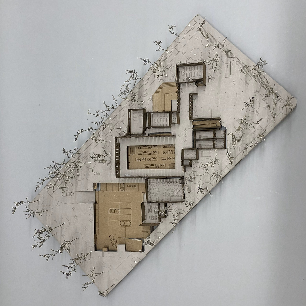 Martin Bradshaw - Study Models