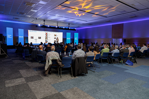 DLM STUDIO FOTO E VIDEO