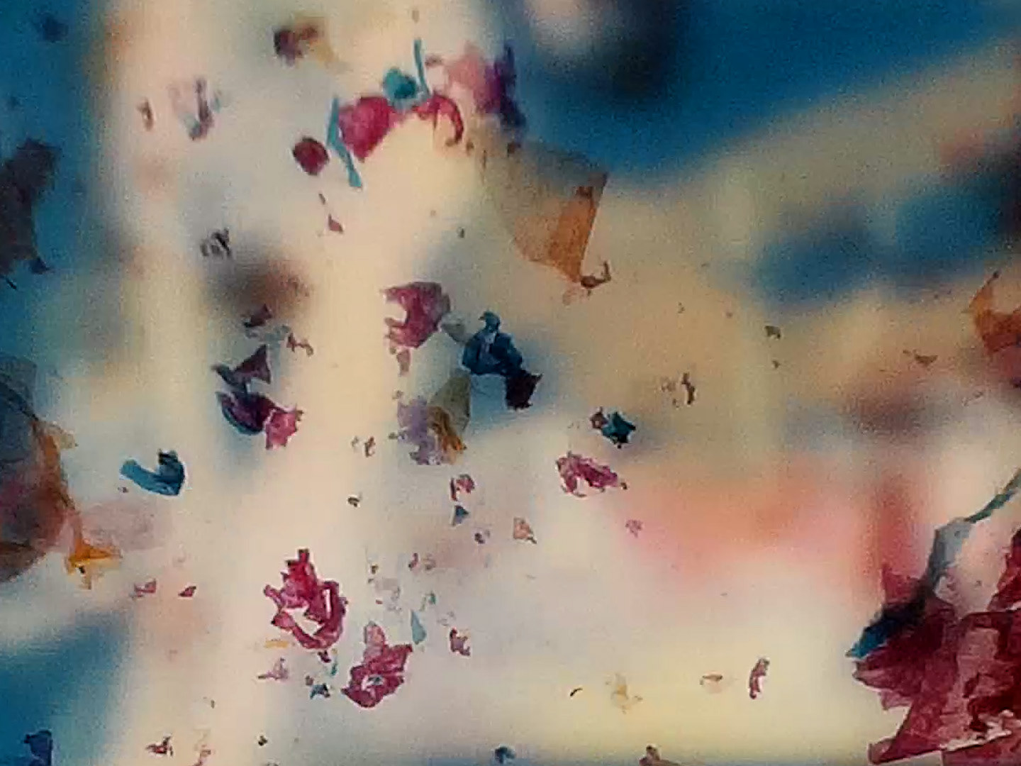 Shana Cruz-Thompson Photographer and Mixed Media Artist - Projects