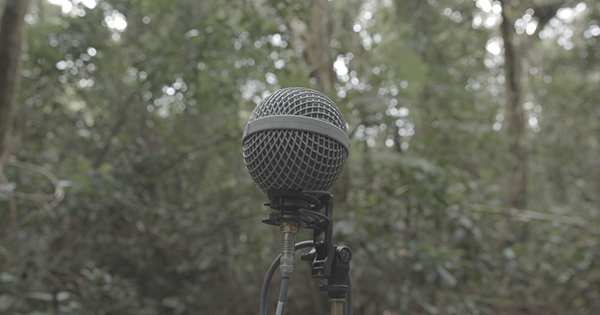 Storydeep - LARGE NATURE MODEL