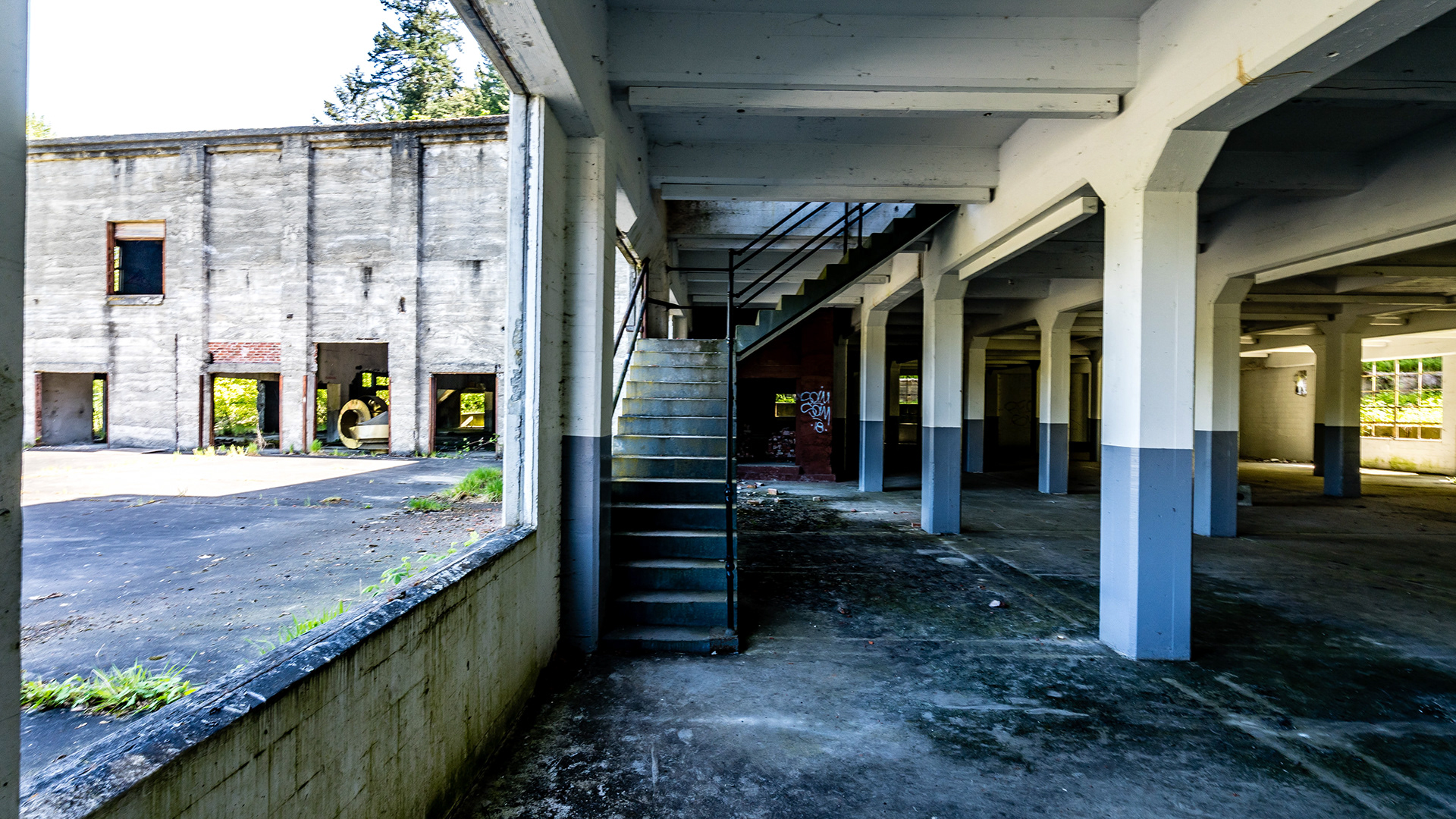 Ray Humphreys - Olympia