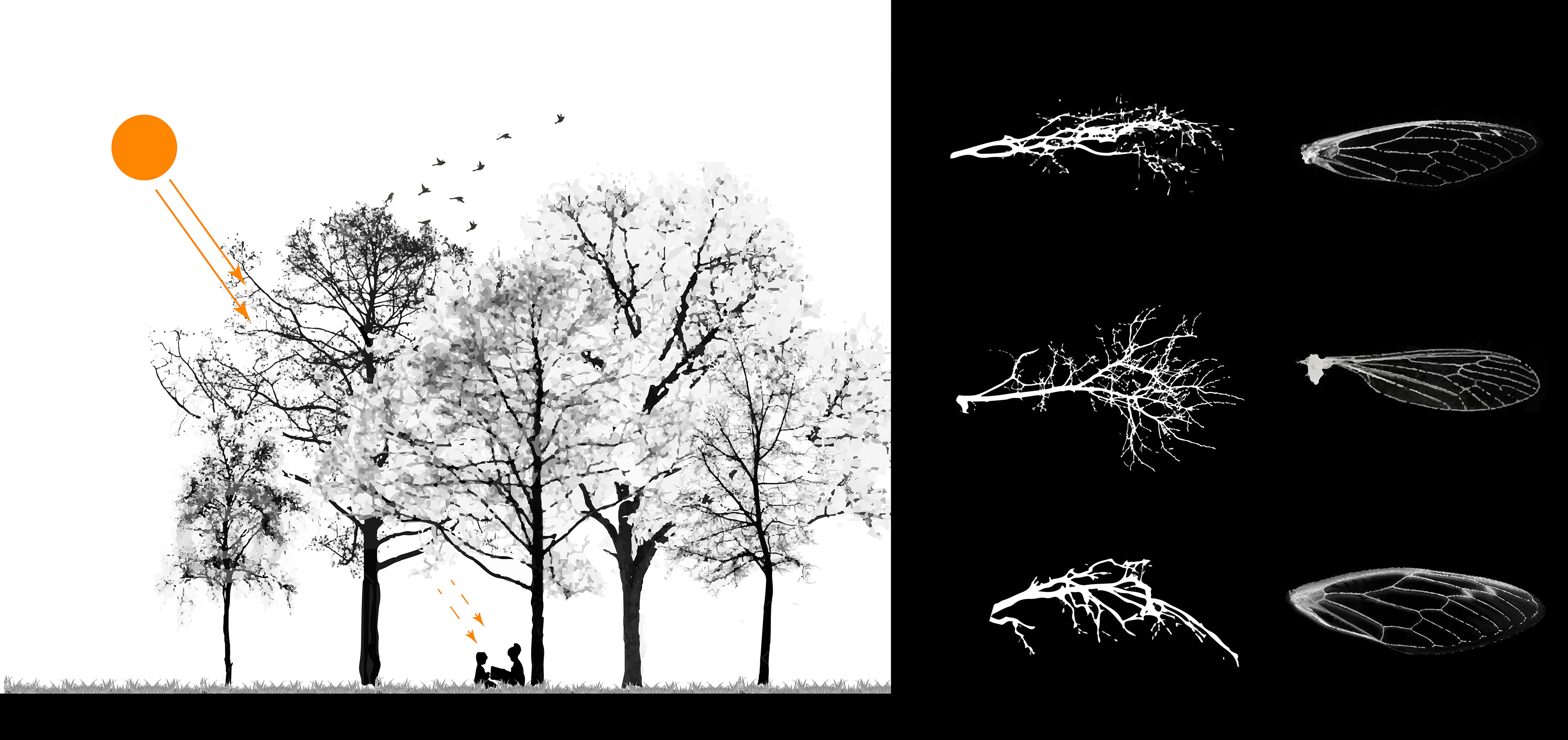 Noel Sampson - Bellevue Square Park Pavilion