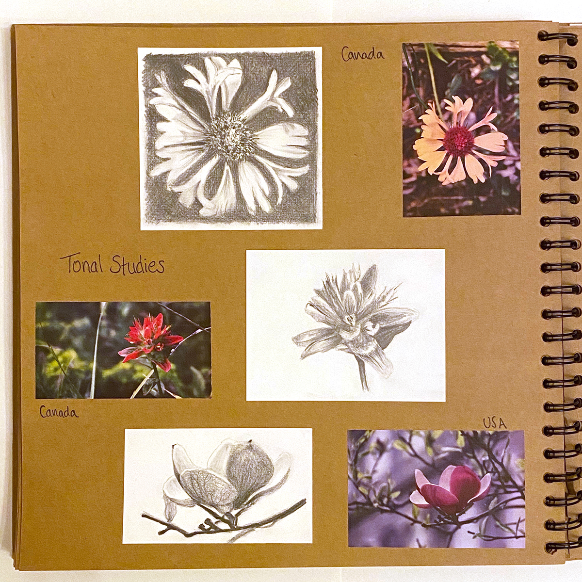 Kingsley Art - GCSE Introductory Project: Exemplar