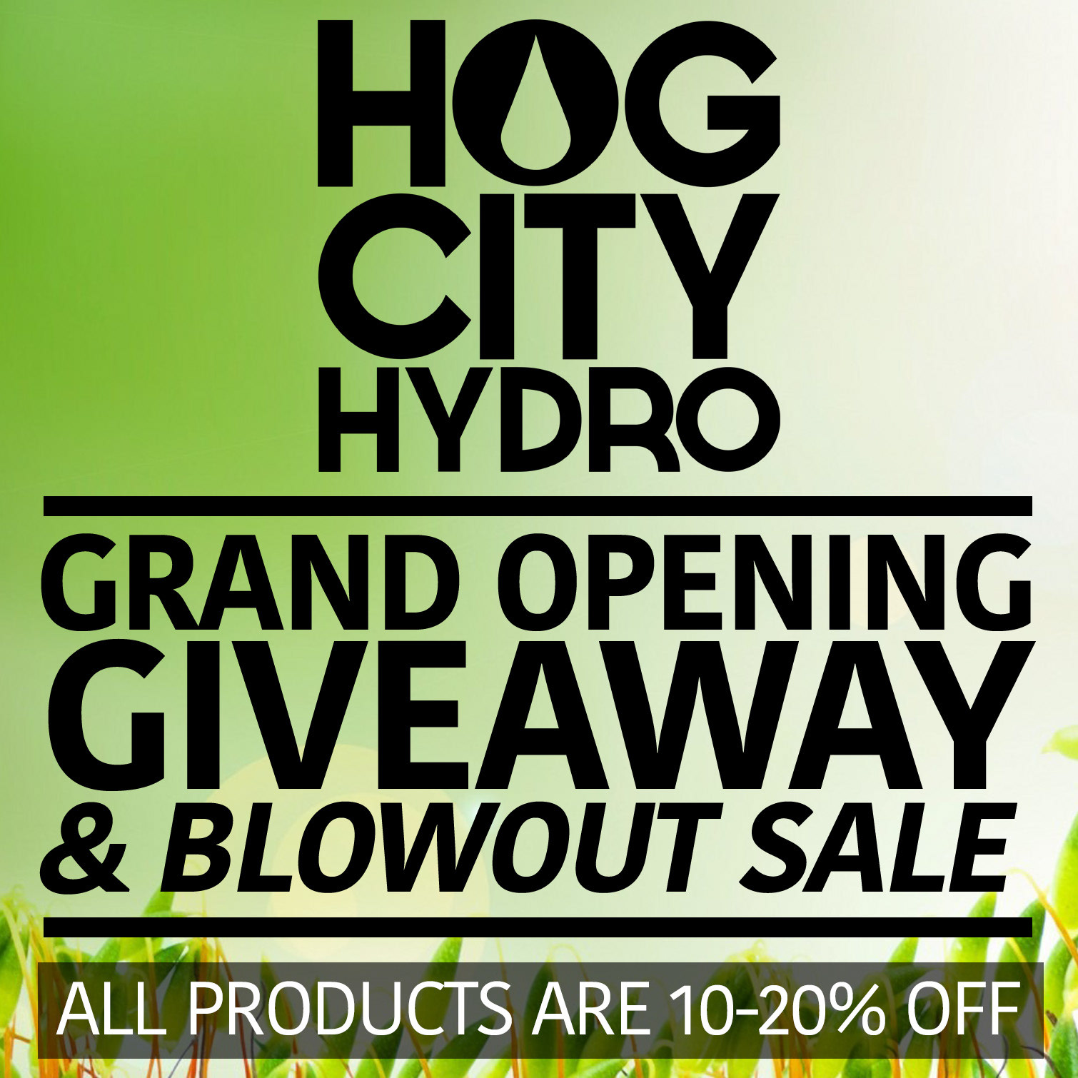 Ashley Lane | Graphic Design - Hog City Hydro Branding