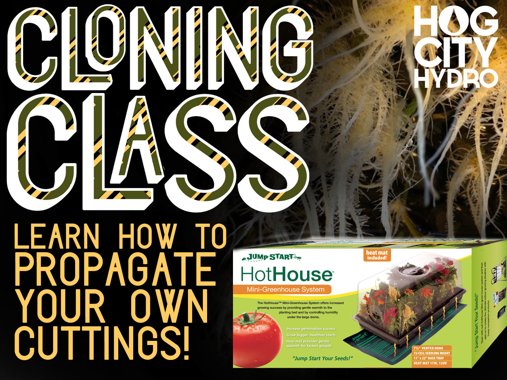 Ashley Lane | Graphic Design - Hog City Hydro Branding