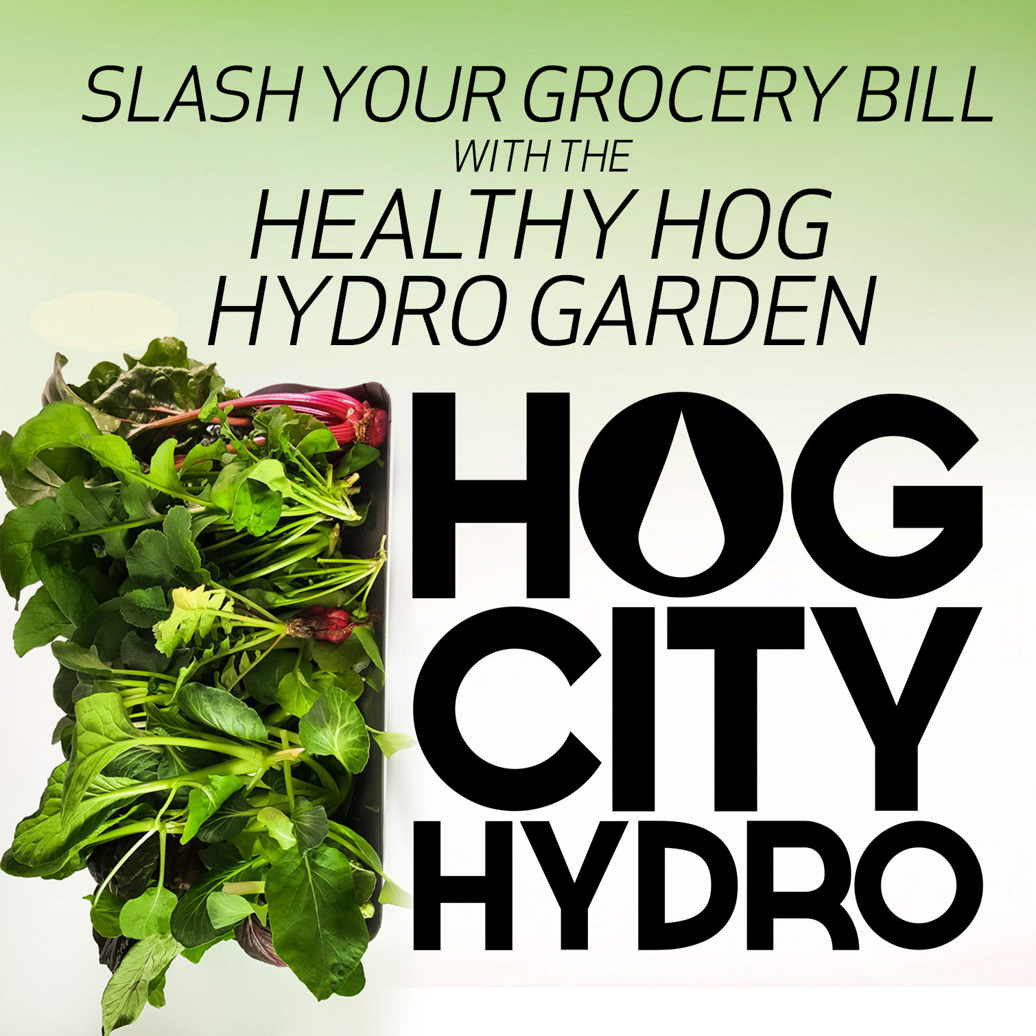 Ashley Lane | Graphic Design - Hog City Hydro Branding