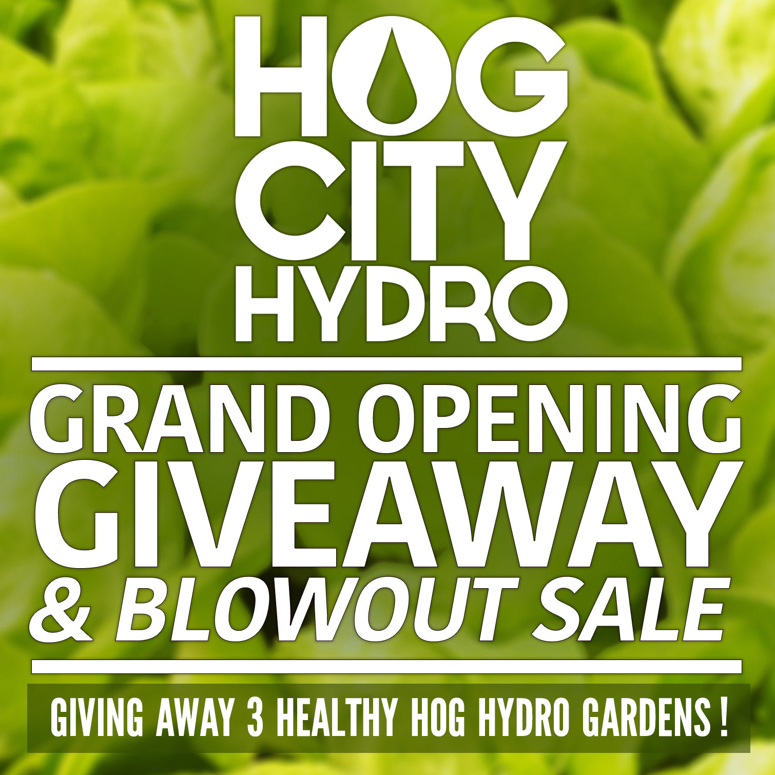 Ashley Lane | Graphic Design - Hog City Hydro Branding