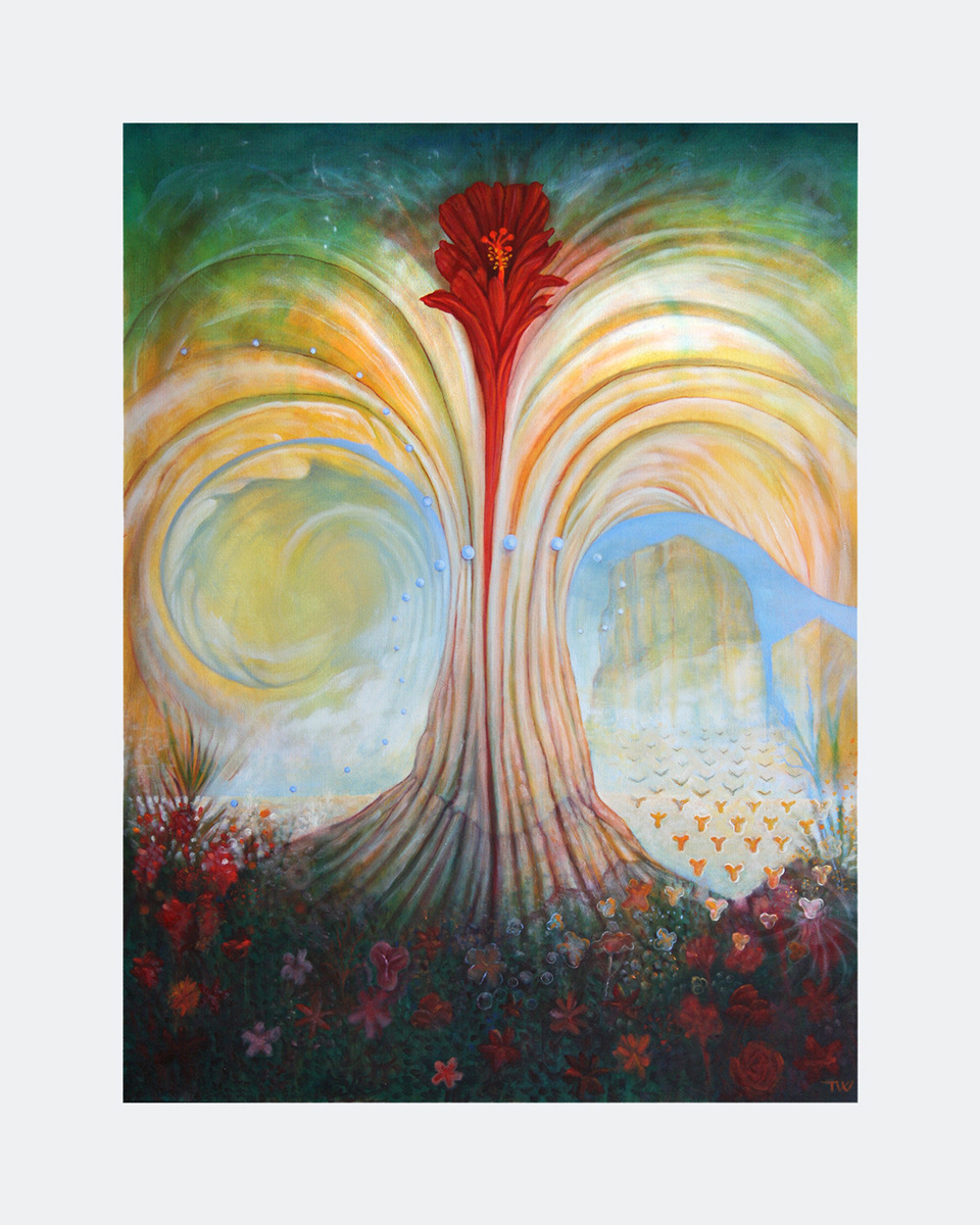 Timothy Wood Fine Art Saint Augustine