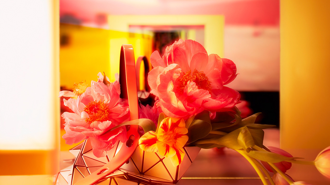 CHEUK LUN ALAN LO - MODERN WEEKLY | Fashion