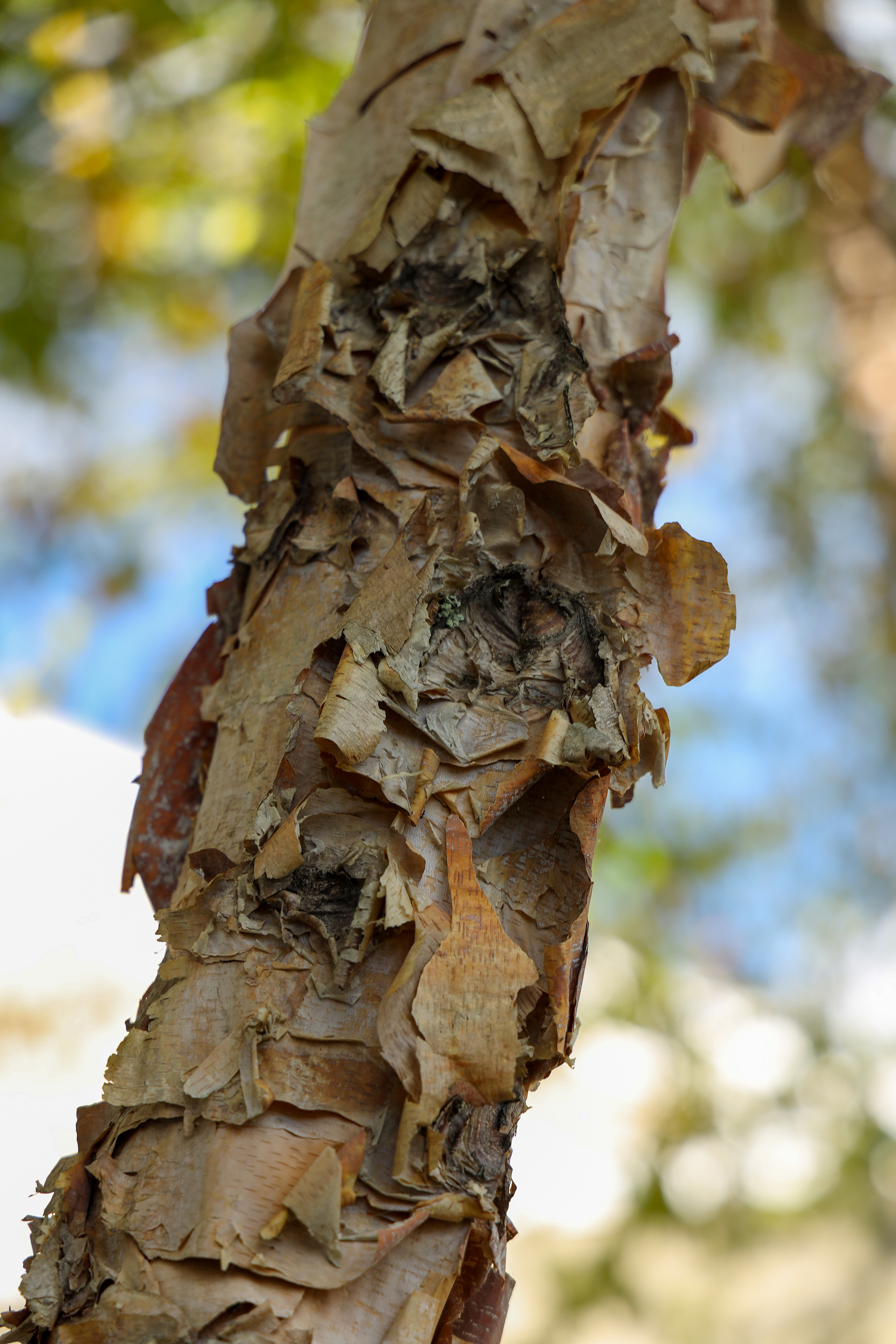 Liam Crowe Photography - Photography 1