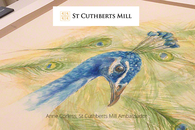 Anne Corless Art Studio