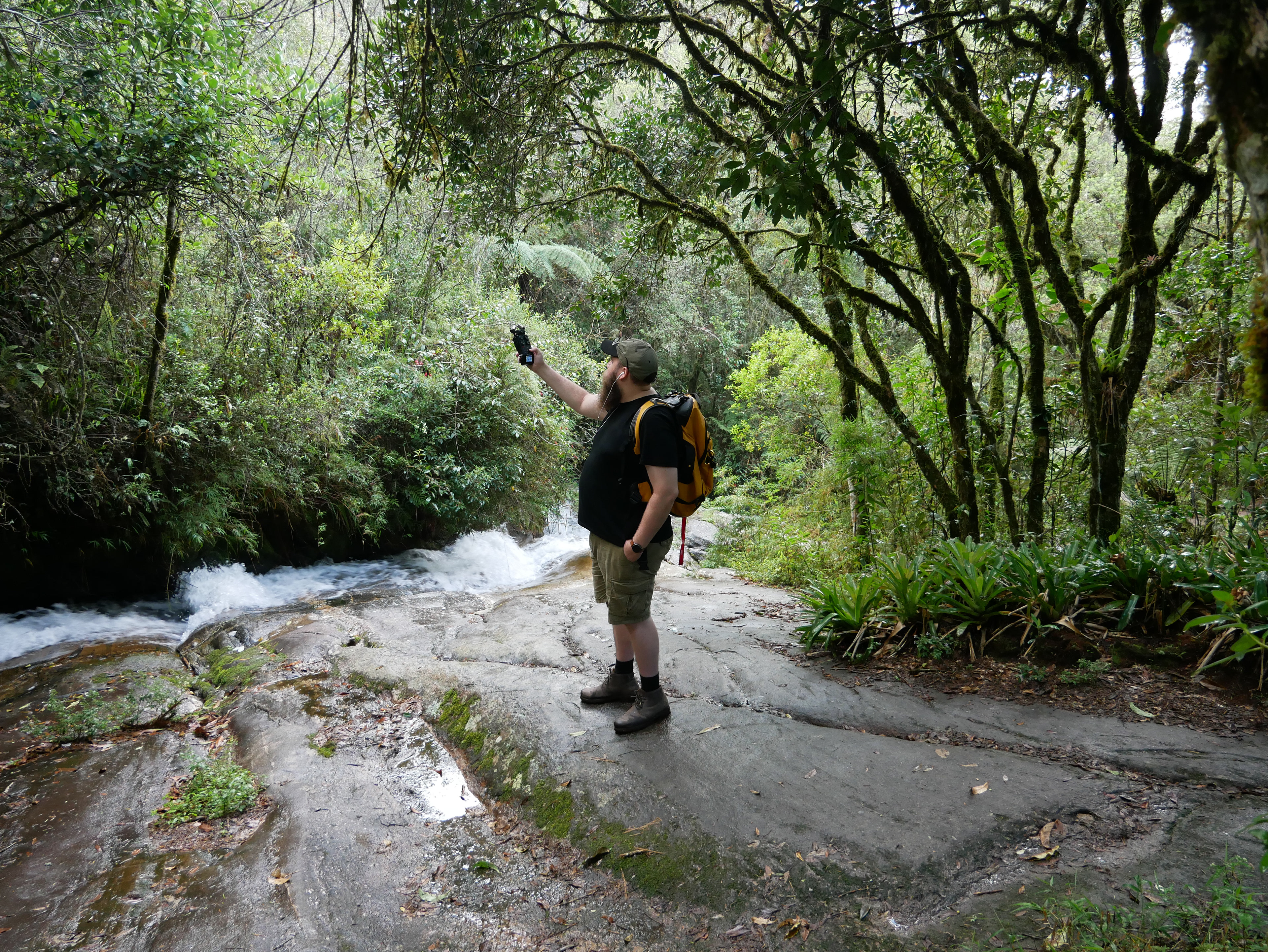 Daniel Bandeira - Firewatch - Redesign