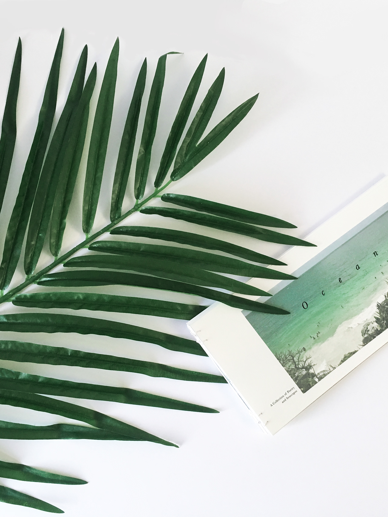 Sarah Apollo - Glow Recipe Website