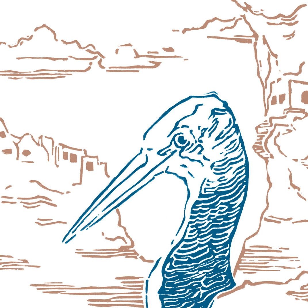 David Sankey Illustration & Design