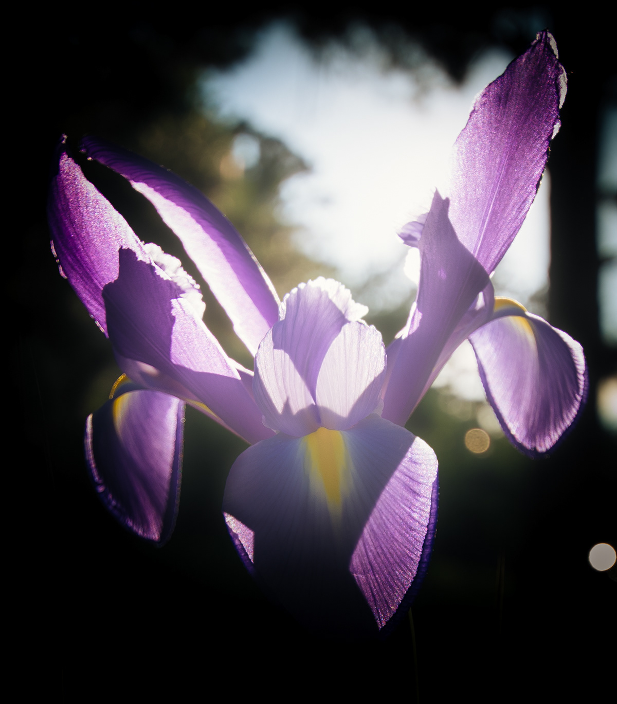 Keith Null Photography