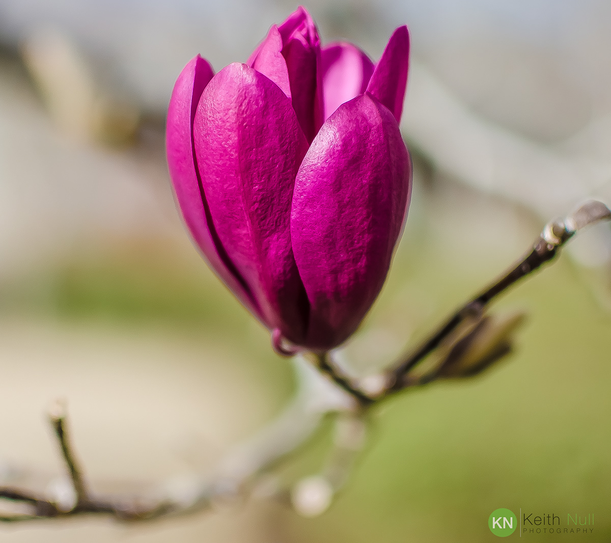 Keith Null Photography
