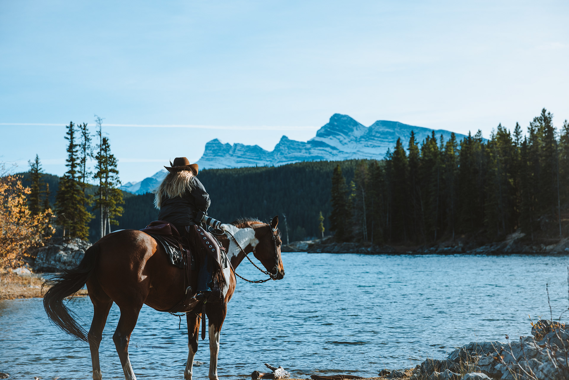 Steady Rein Productions, LLC - photo