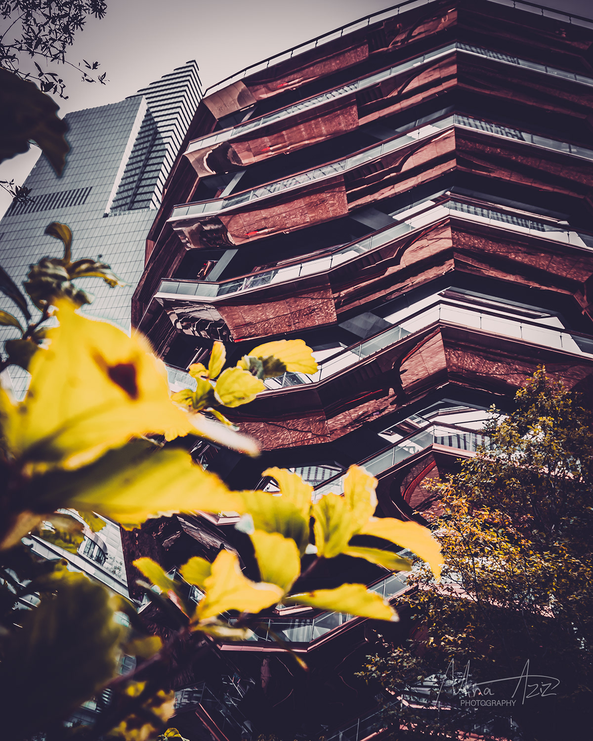 Mina Aziz - PHOTOGAPHY