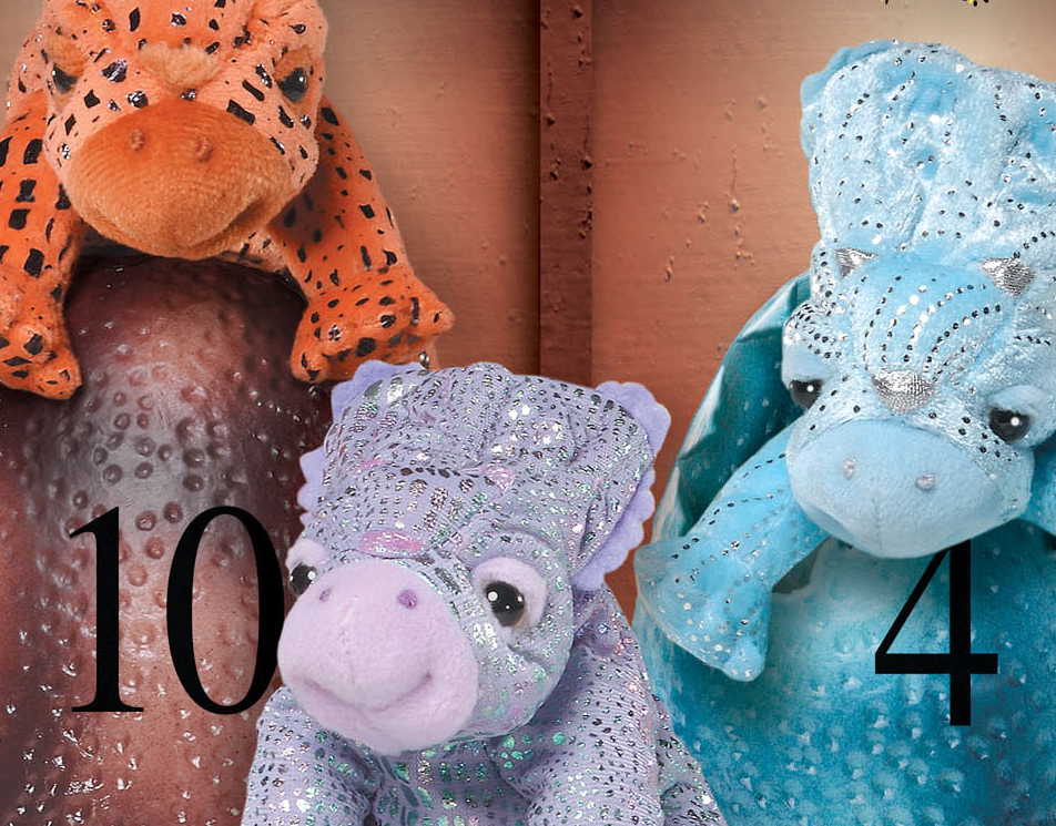 James Albers - Store Display