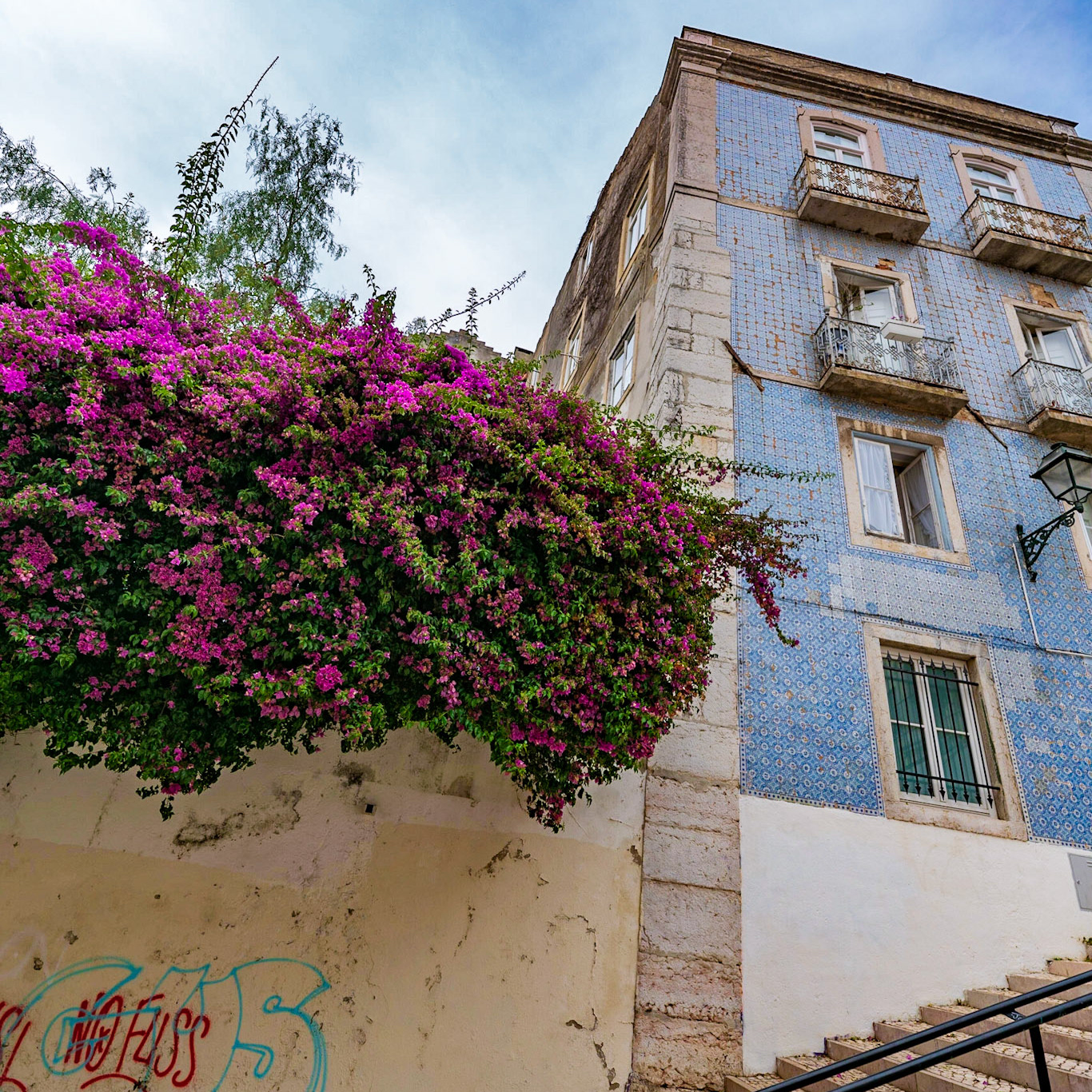 Dan Graphics - Lisbon - 2022