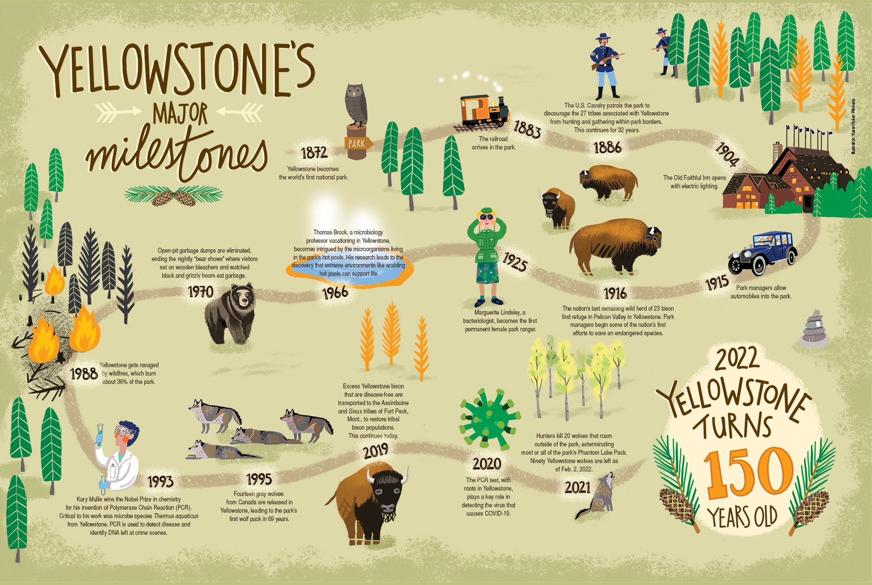 mizz winkens illustrator - Yellowstone National Park - illustrated timeline