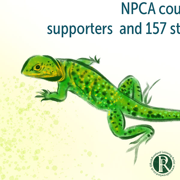 RUTH ROWLAND LETTERING ARTIST & ILLUSTRATOR, LONDON UK : Hand Lettering ...