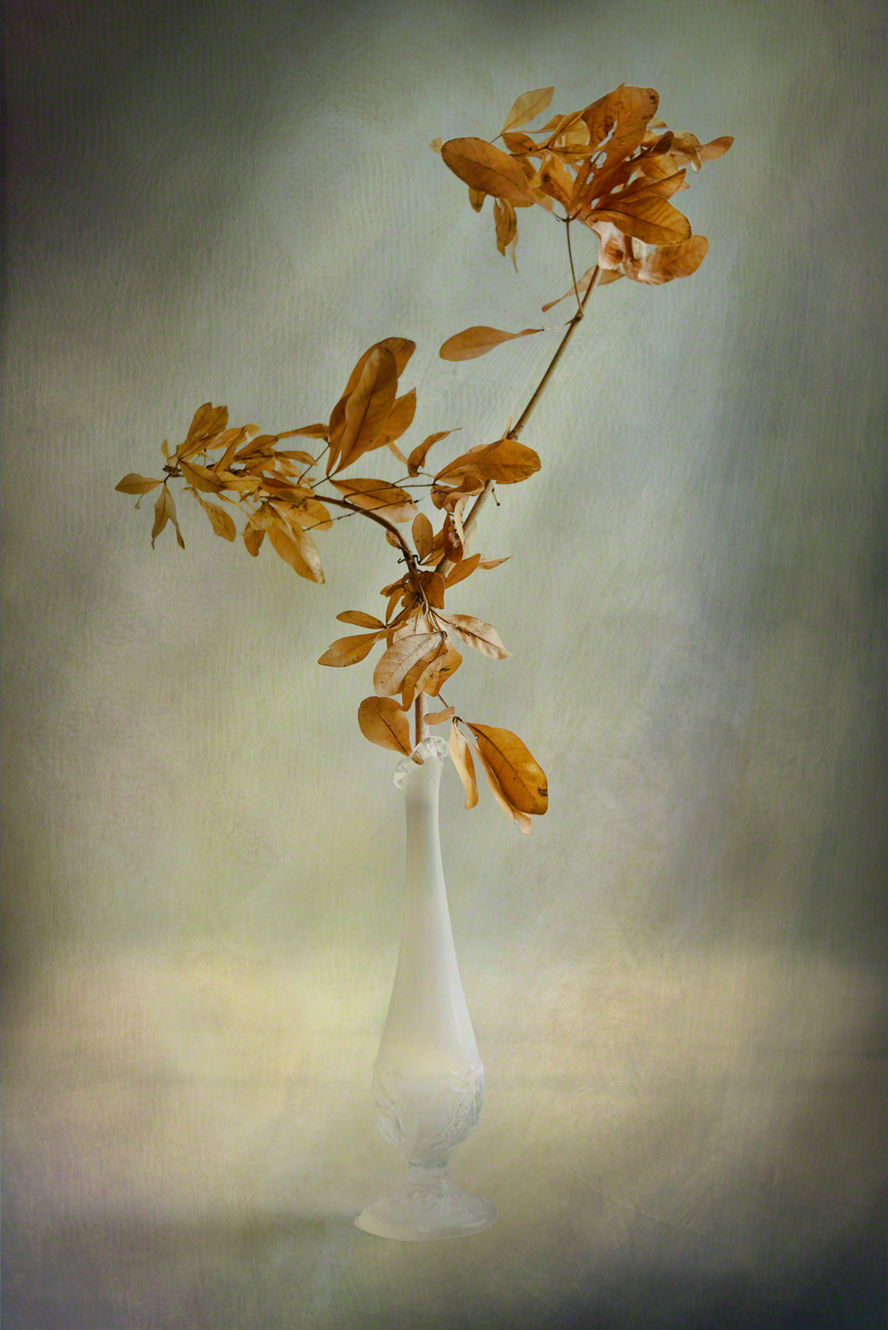 Javier Molina - A Memory of Autumn II