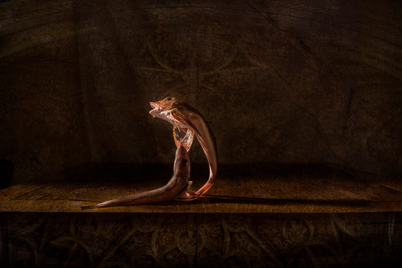 Javier Molina - Still Life collection