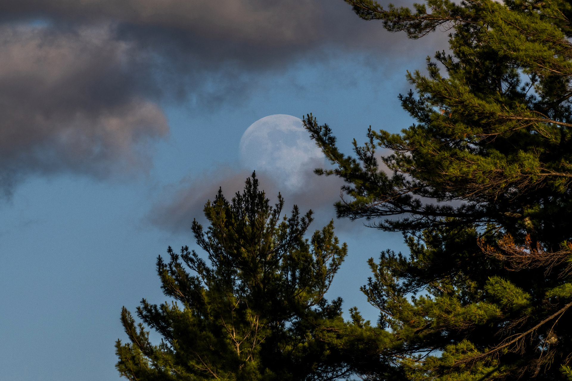 Celestial Susan - The Daytime Moon