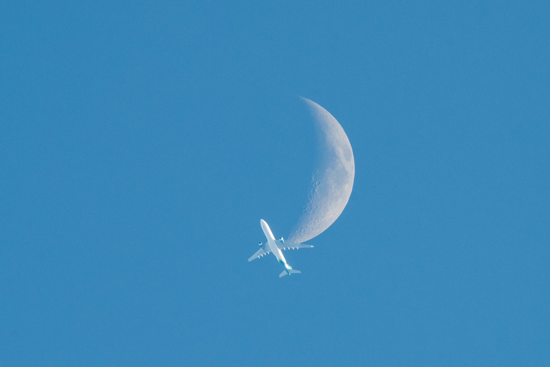 Celestial Susan - The Daytime Moon