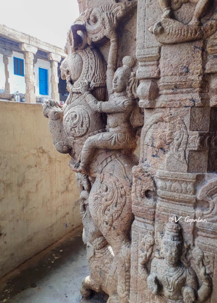 Venkataramanan Gopalan - Ardhanareeswarar temple, Tiruchengode