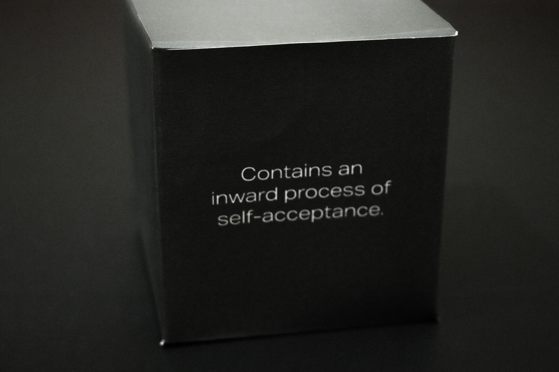 Salja Rasheed - Packaging the Self