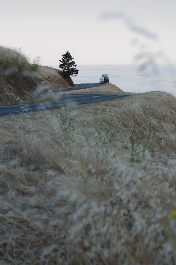 Benson Tran - spaces