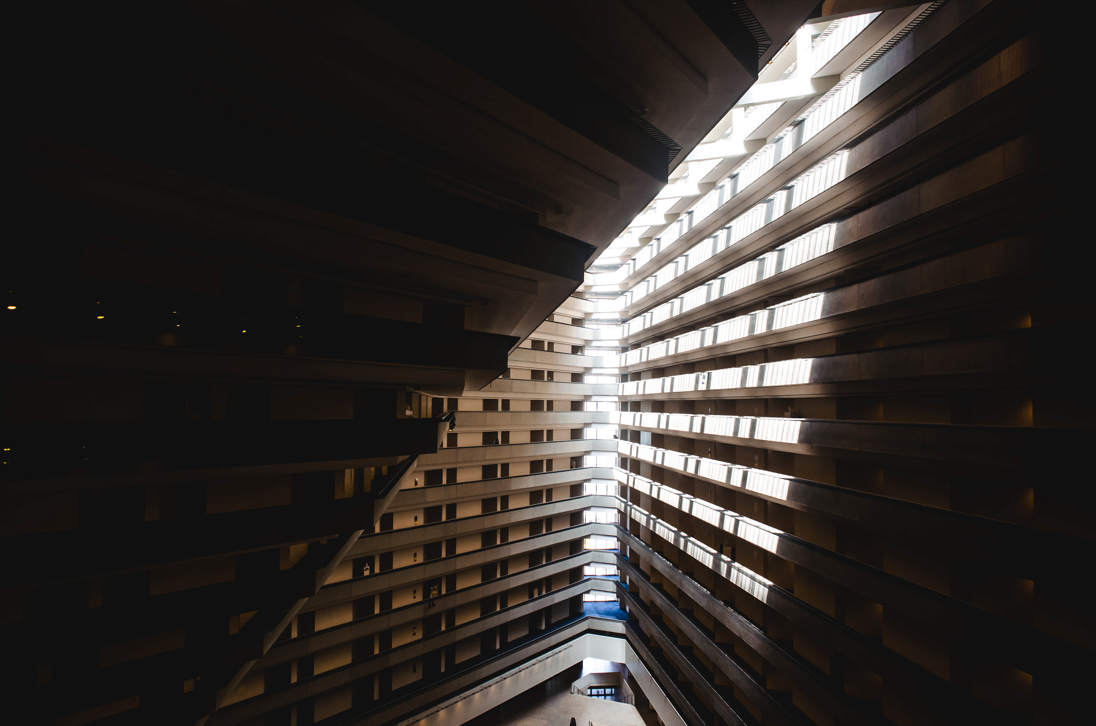 Benson Tran - spaces