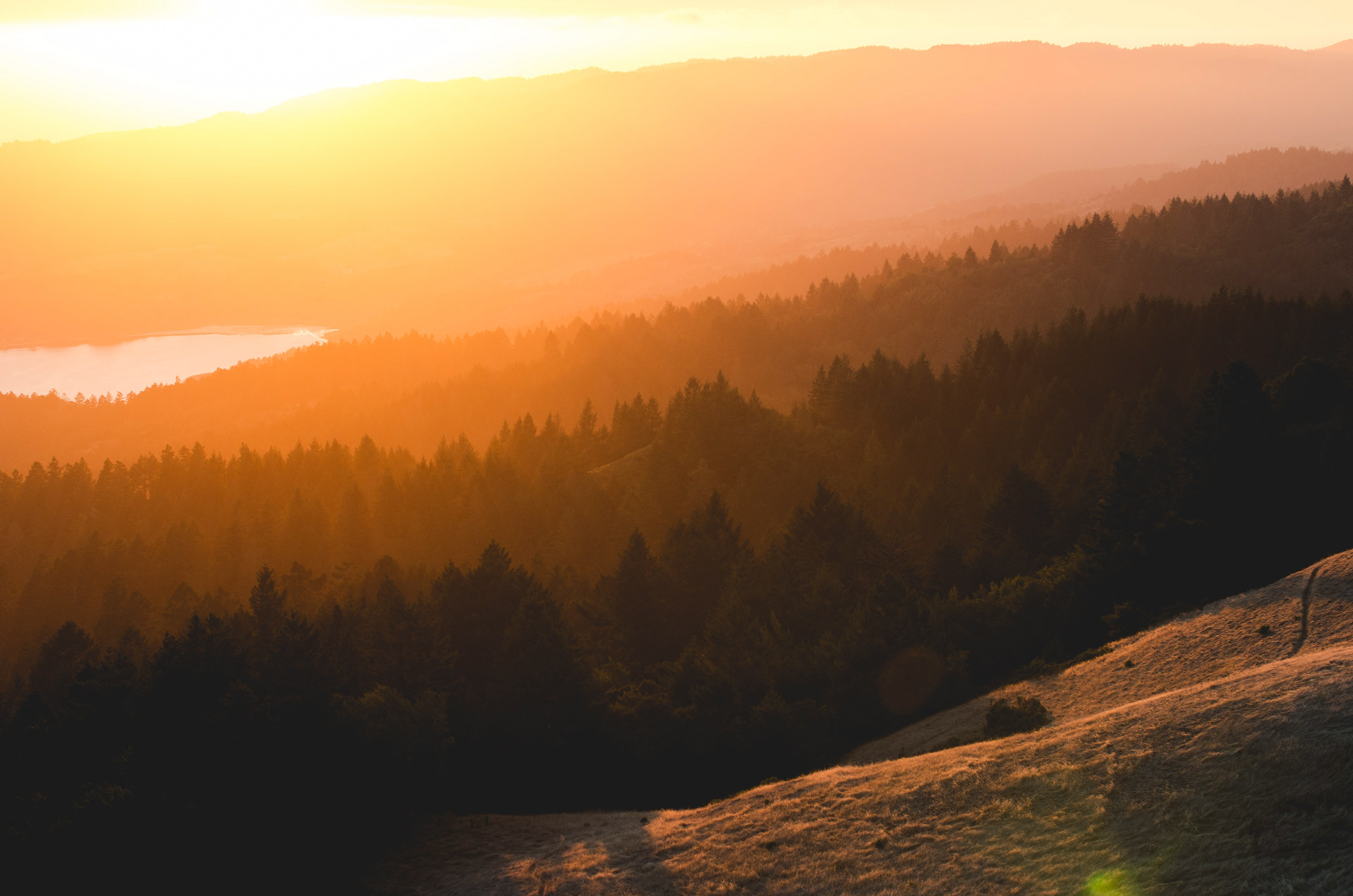 Benson Tran - spaces