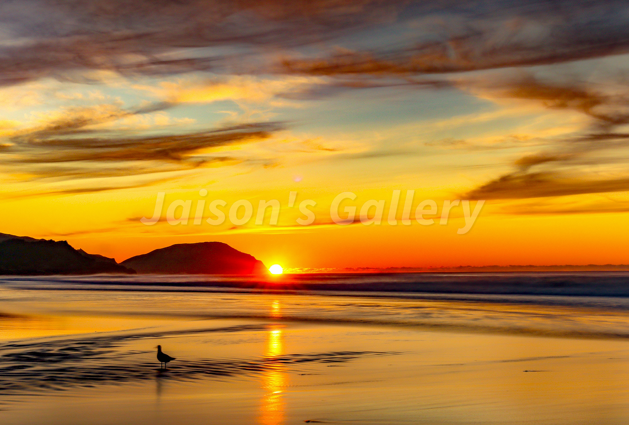 Jaison Thomas - Landscape