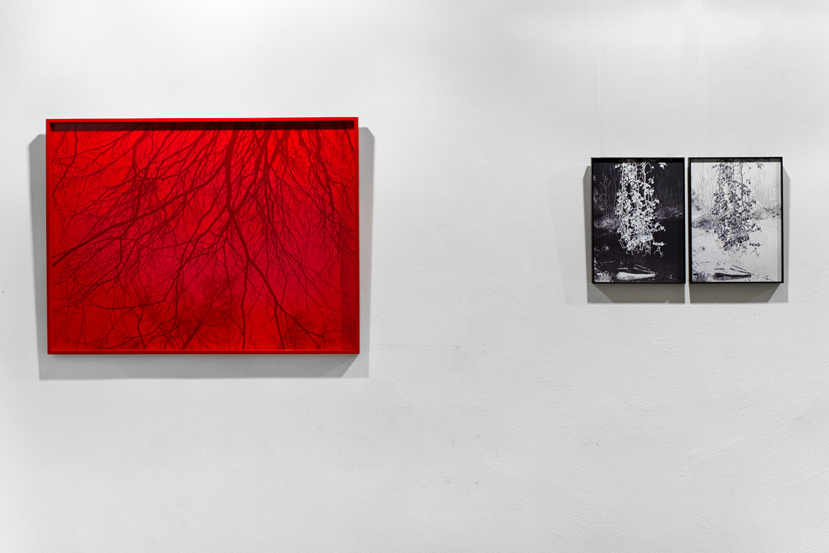 Martin Seeds Photographer - Exhibitions