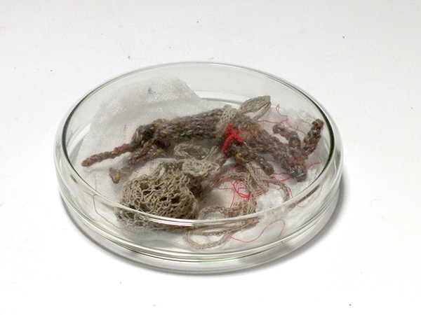 Anne Cardot Sculptures & Dessins - Inventaire conservatoire et nature ...