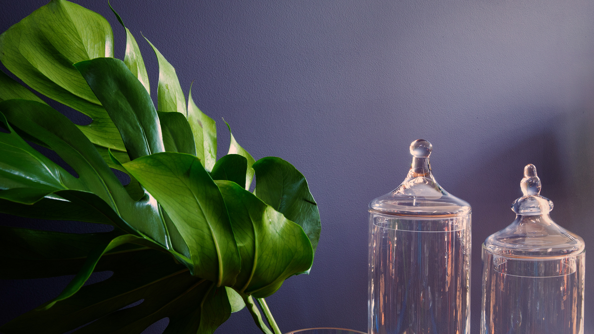 Norman Magnuson | Director of Photography - Benjamin Moore- Color ...