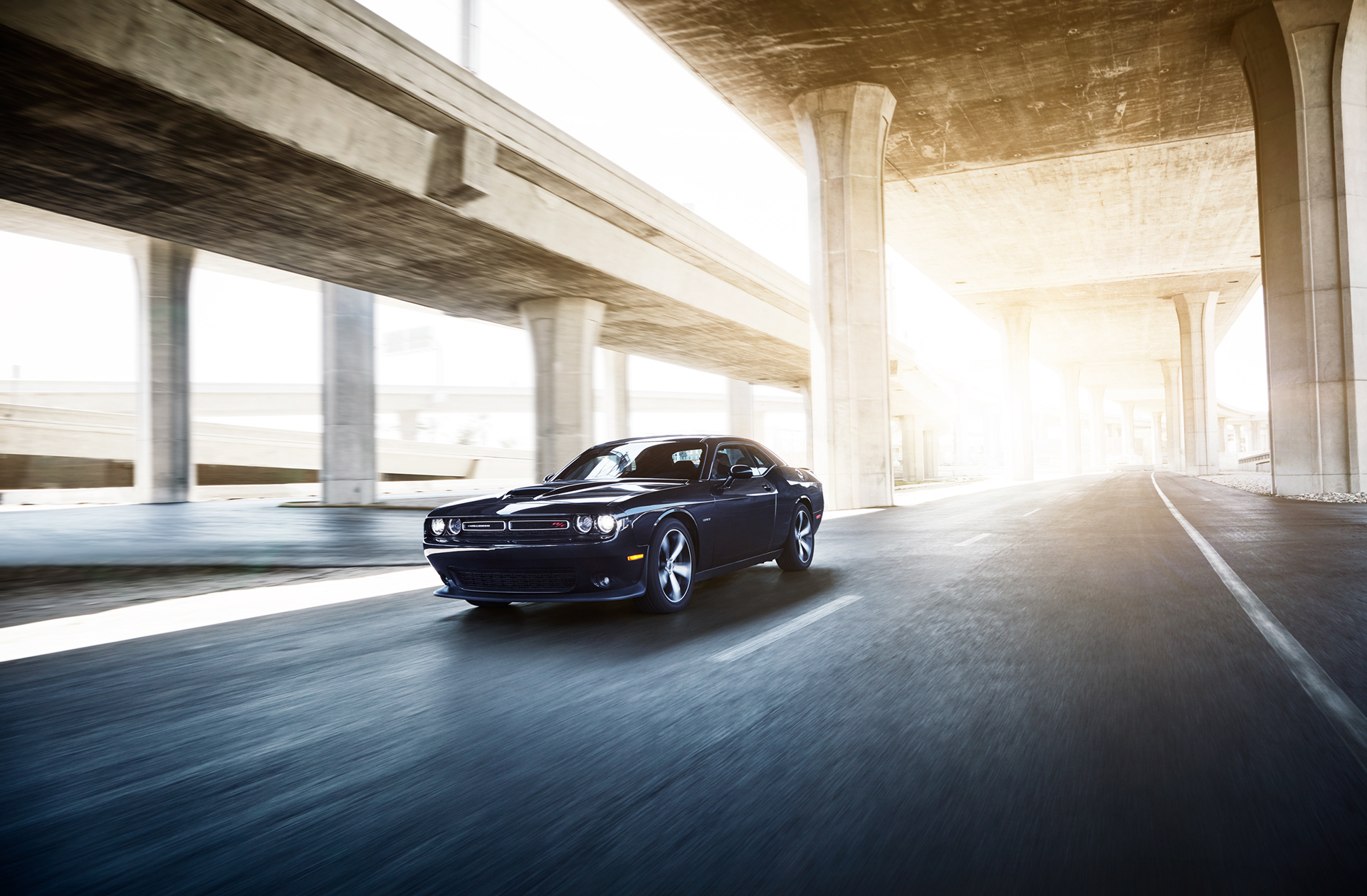 BIRD | VISUAL - Dodge Challenger