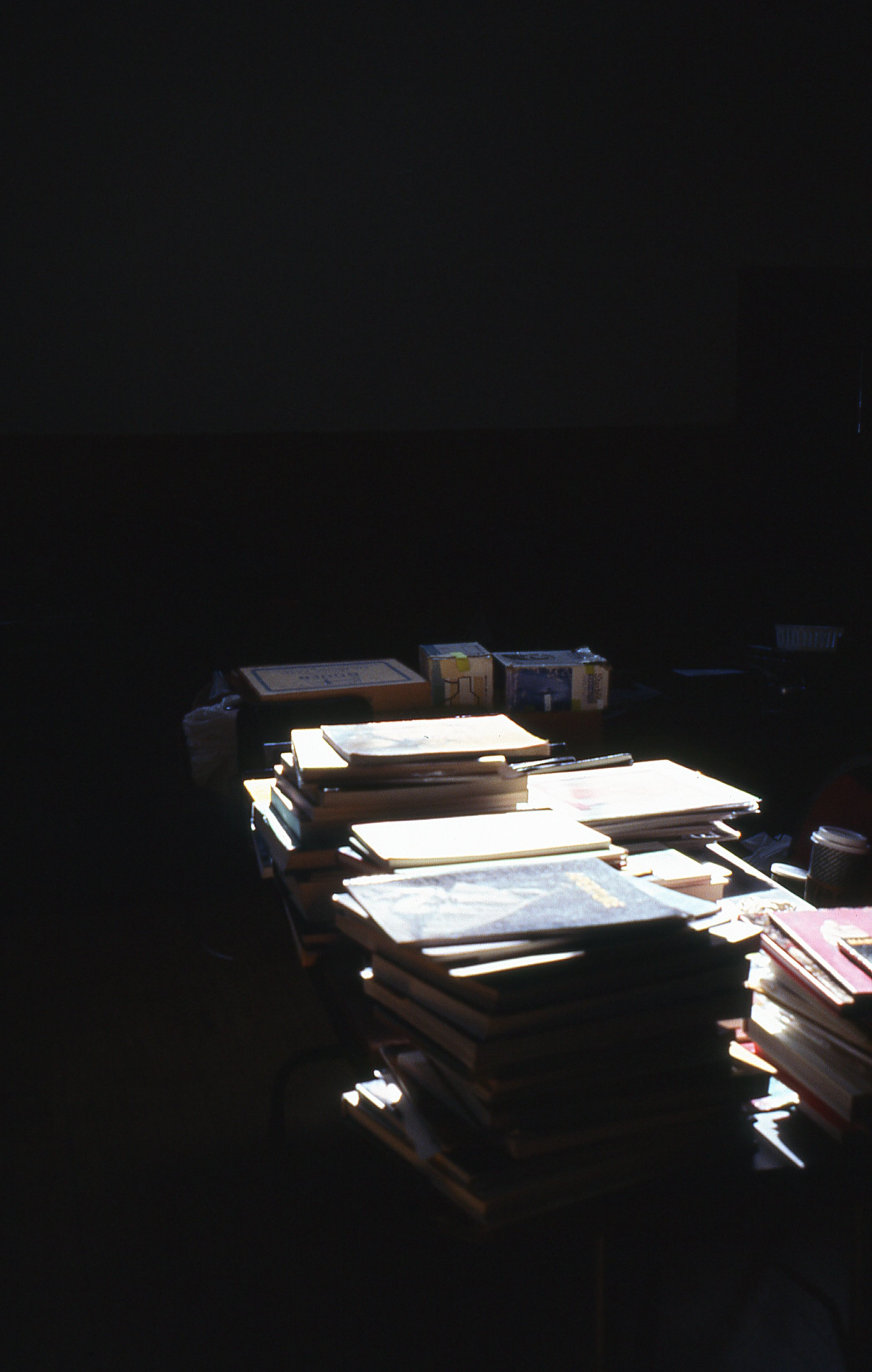 Sabrina Sharifi's Portfolio - pasadena, ca / e-100 / leica minilux