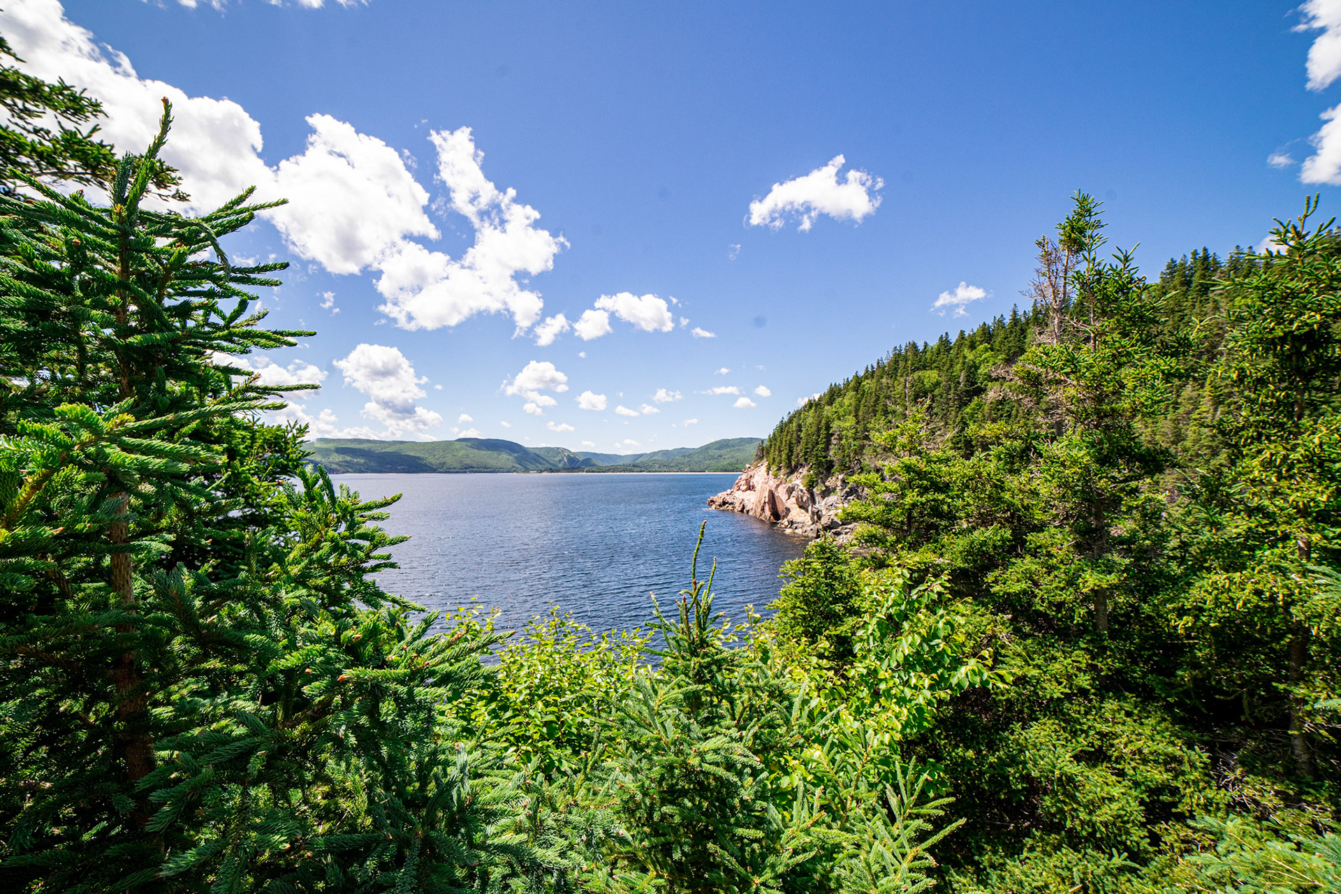 Emily Weigum Photography - Cape Breton