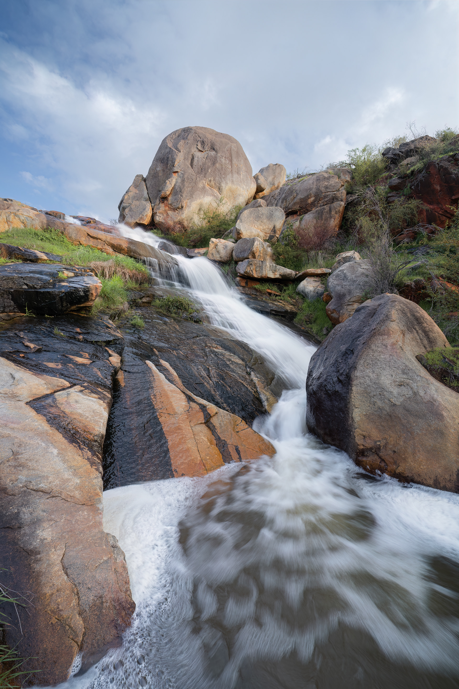 Nature By Nathan - WA - Perth & Surrounds