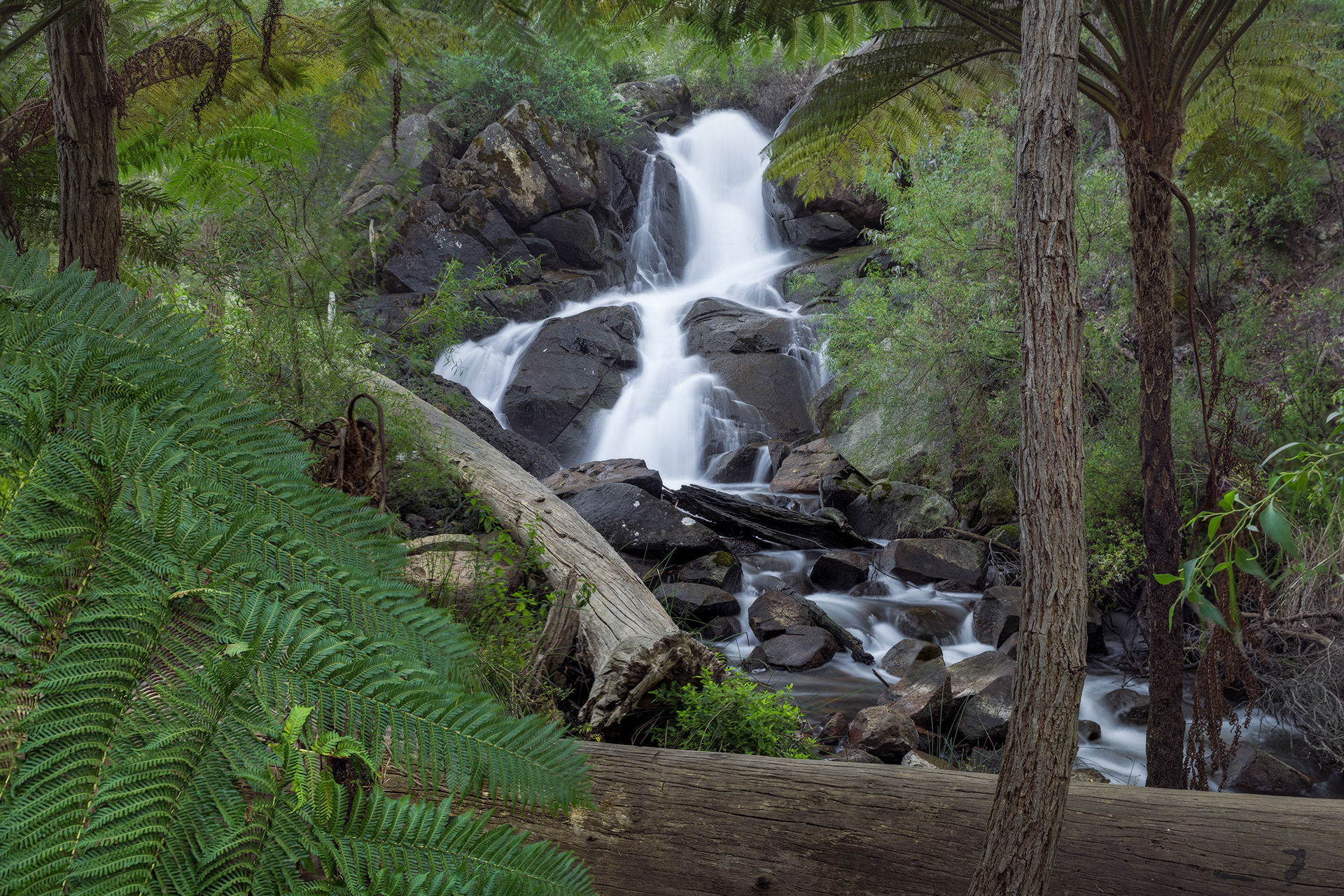 Nature By Nathan - WA - Perth & Surrounds